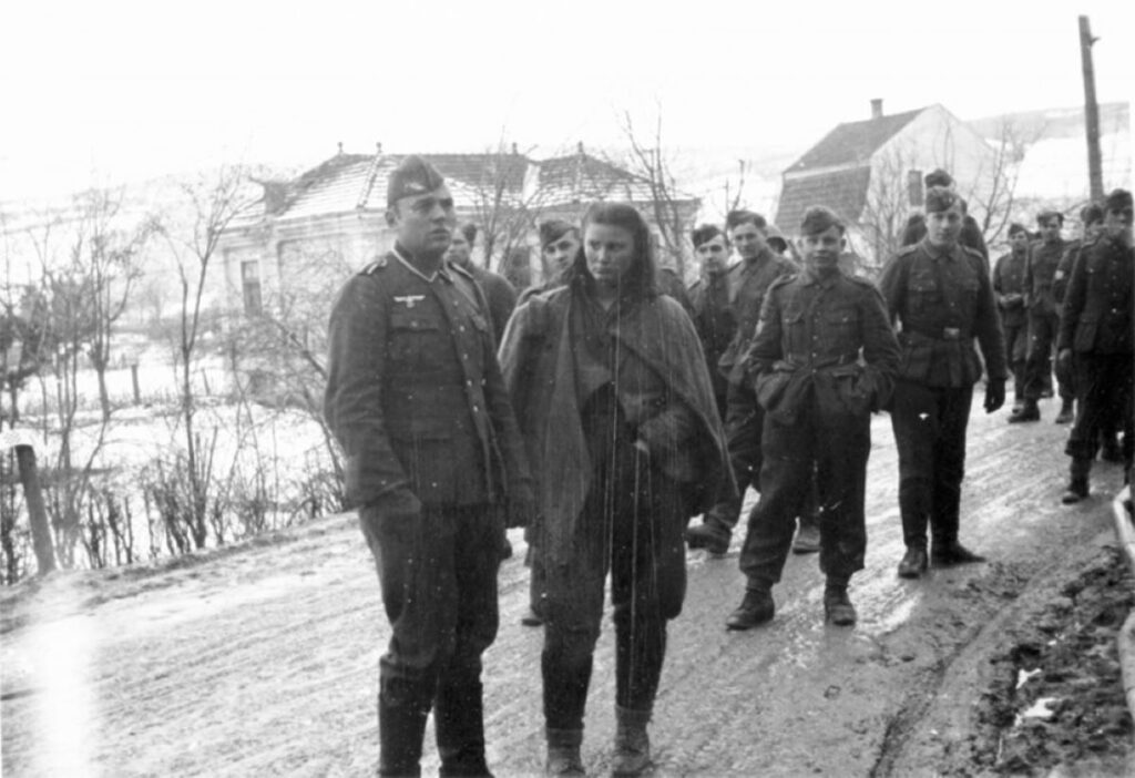 Lepa Radić: A Tale of Courage - History Chronicles